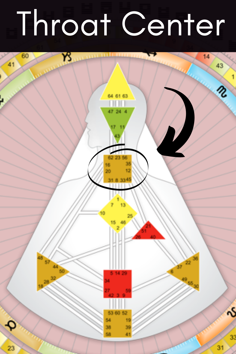 The Throat Center in Human Design: Meaning, Definition, & Not-Self Talk ...